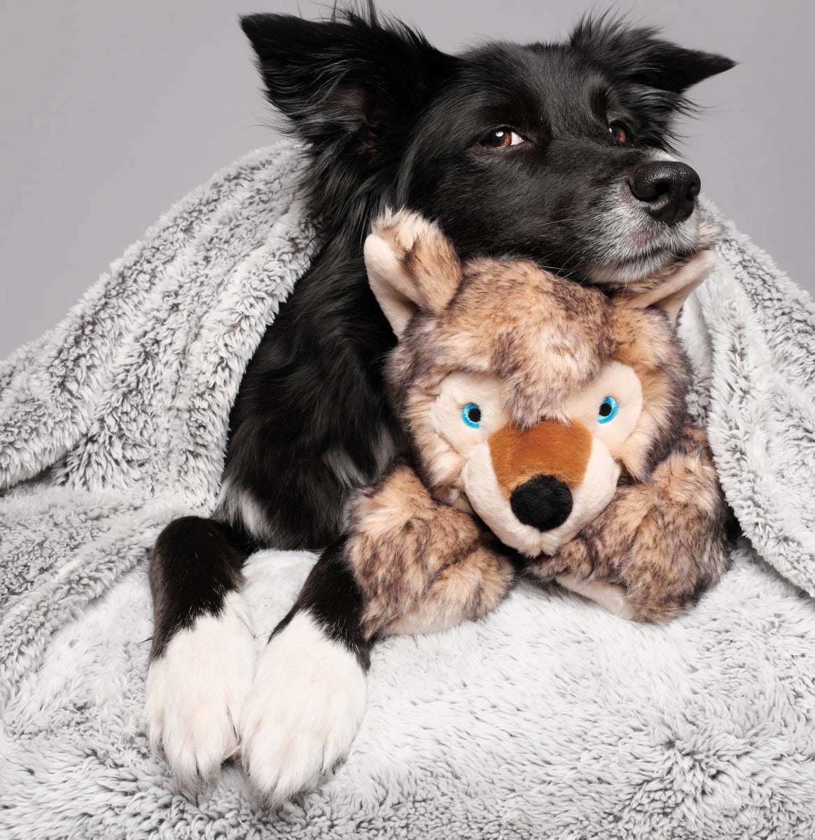 Fluff & Tuff Lobo Wolf Pup Toy - Indianapolis, IN - Paws Stop Pet Food ...